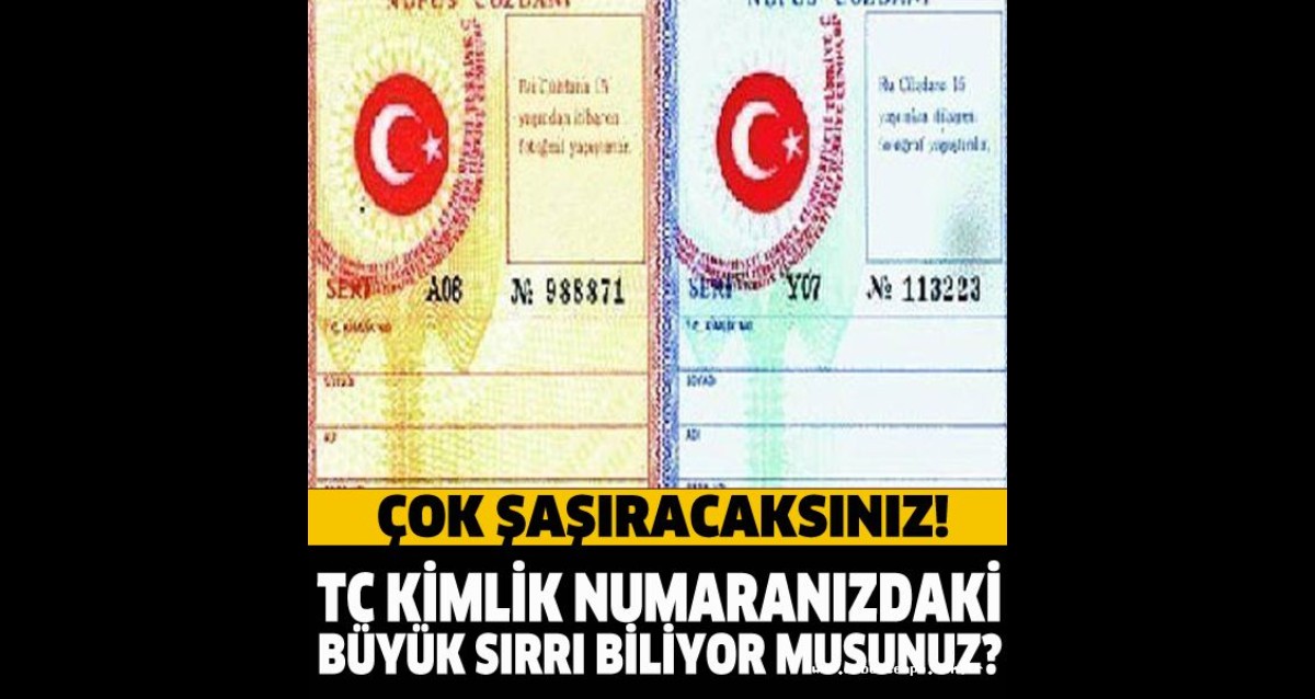 TC Kimlik Numarasının Büyük Sırrı! Kontrol Edin, Çok Şaşıracaksınız